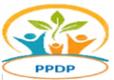 Power Plan Development Program (PPDP)
